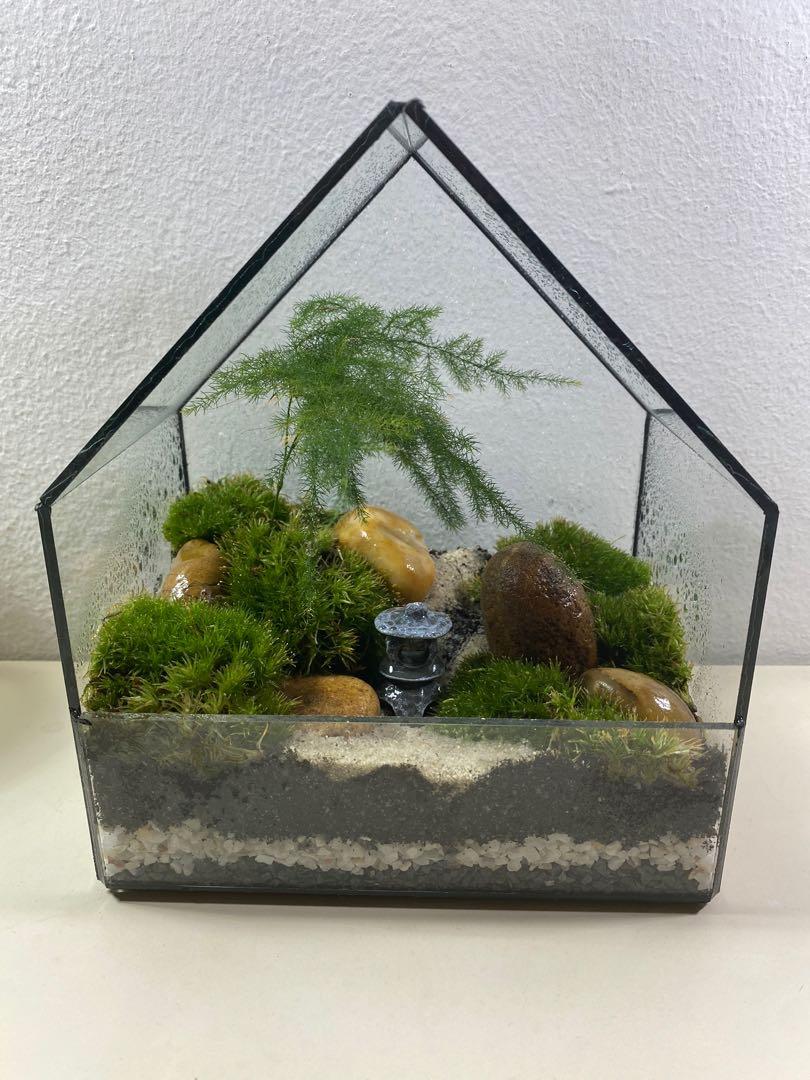 Terrarium (open) Japanese Bamboo garden, Furniture & Home Living ...