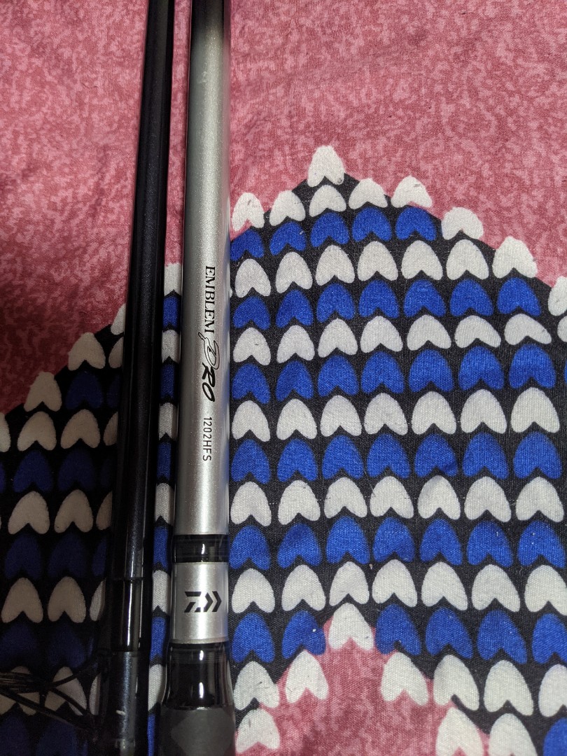Daiwa Emblem Pro 12 Ft Feet Fishing Rod, Sports Equipment, Fishing on ...
