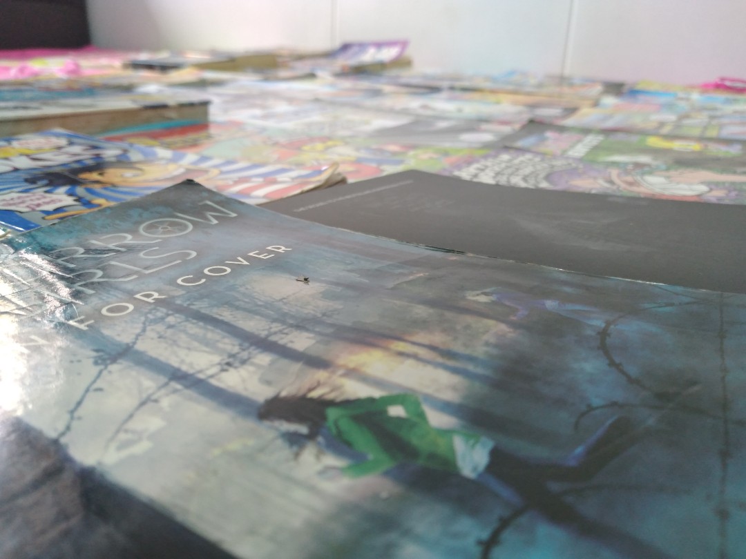 Geronimo Stilton, Percy Jackson, Diary of a Wimpy Kid, Young Scientist ...