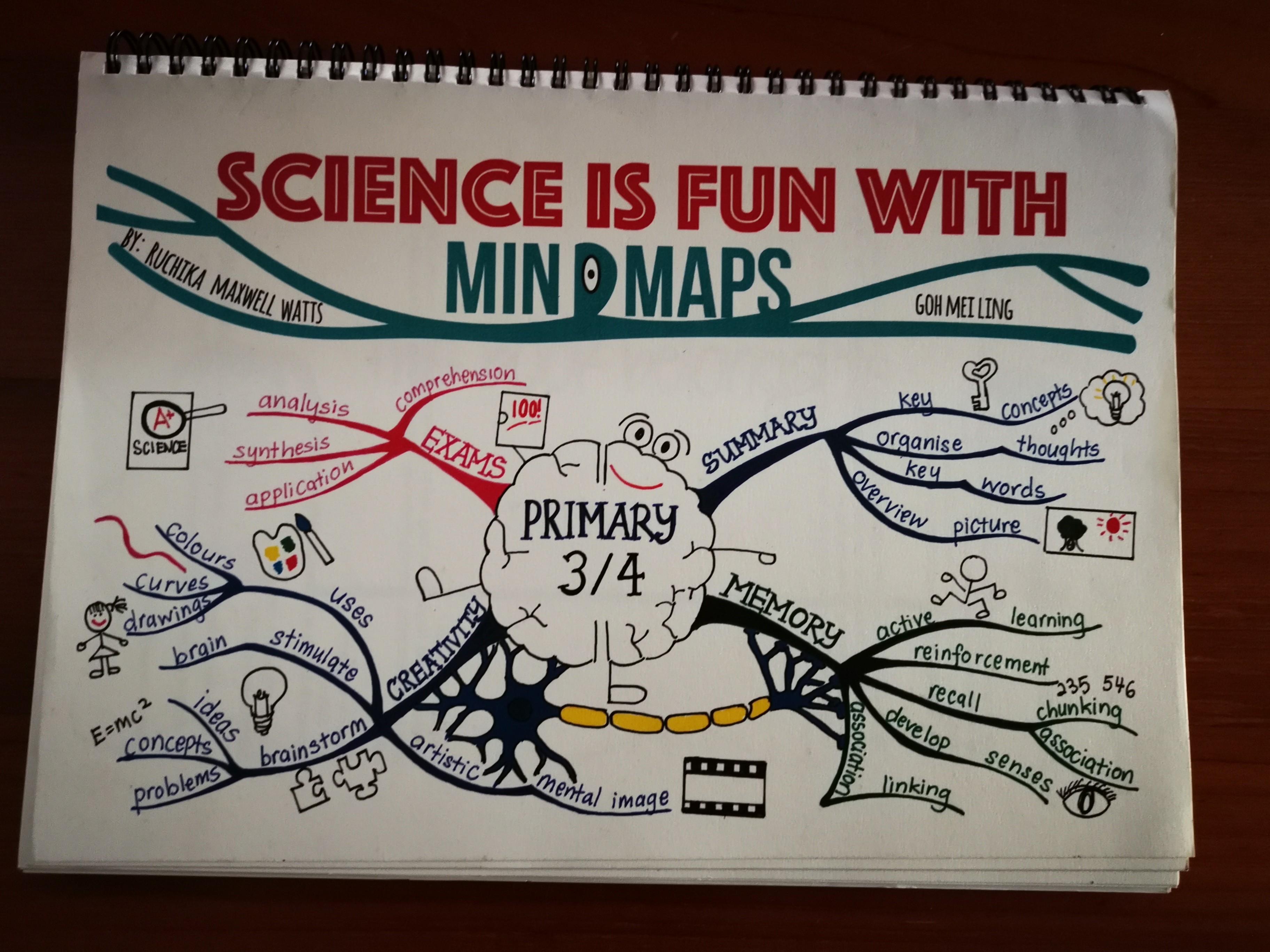 Science p3/p4 mind map book, Hobbies & Toys, Books & Magazines ...