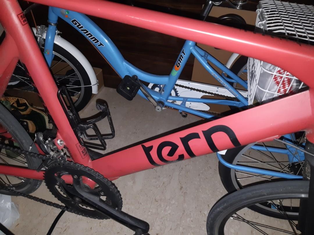 Tern Surge Mini Velo, Sports Equipment, Bicycles & Parts, Bicycles on Carousell