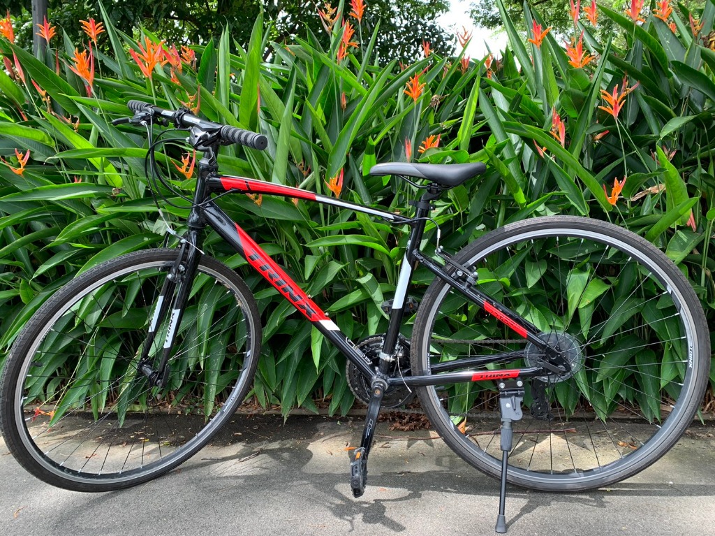 Trin-X Road Bike, Sports Equipment, Bicycles & Parts, Bicycles on Carousell