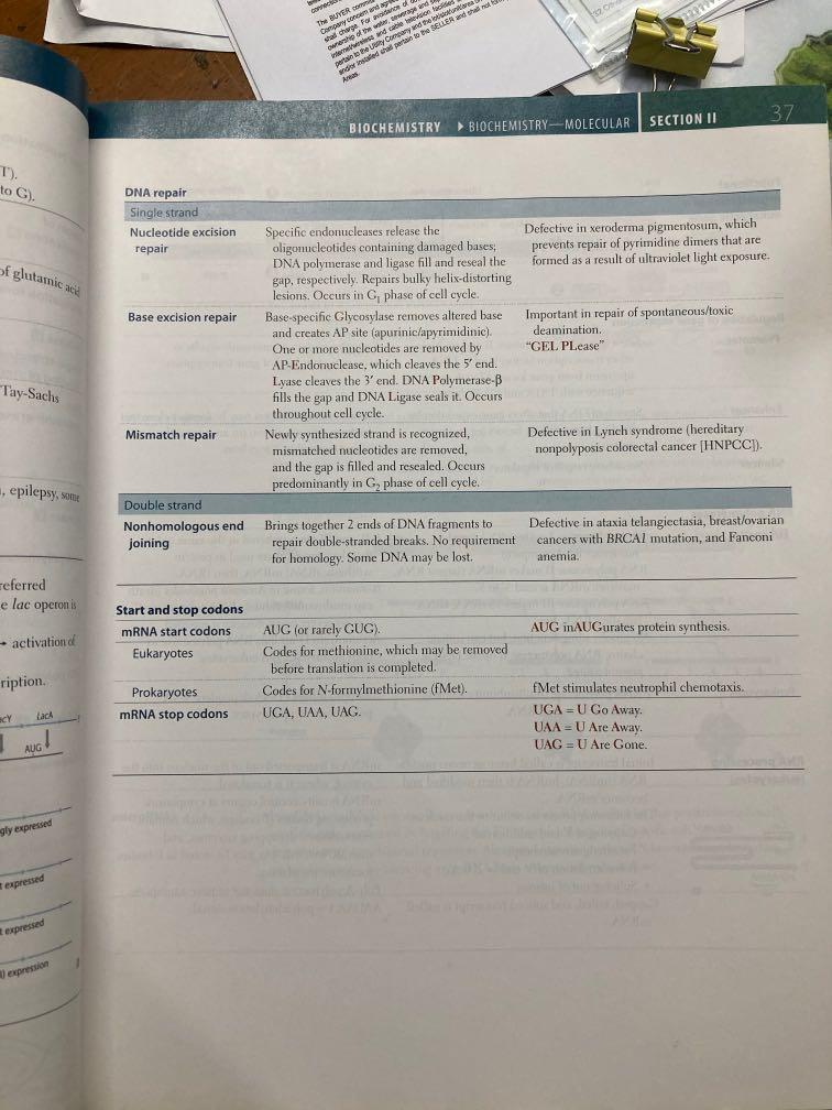 US MLE STEP 1 Student Guide 2017, Hobbies & Toys, Books & Magazines ...