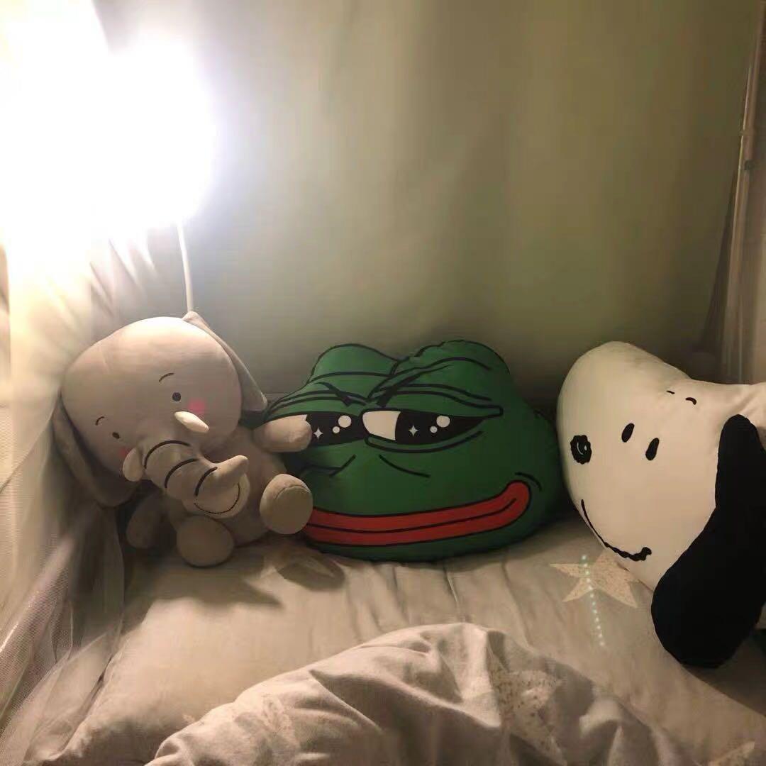 Pepe frog plushie pillow preorder, Hobbies & Toys, Toys & Games on ...