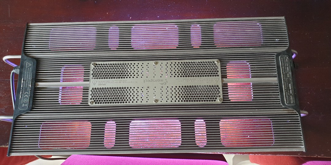 Maxspect light, Furniture & Home Living, Gardening, Plants & Seeds on ...