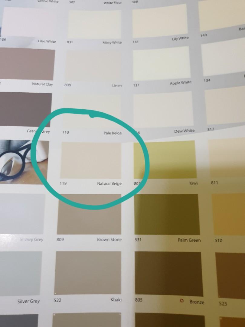 Nippon Paint 2 liters Natural Beige, Furniture & Home Living, Home ...