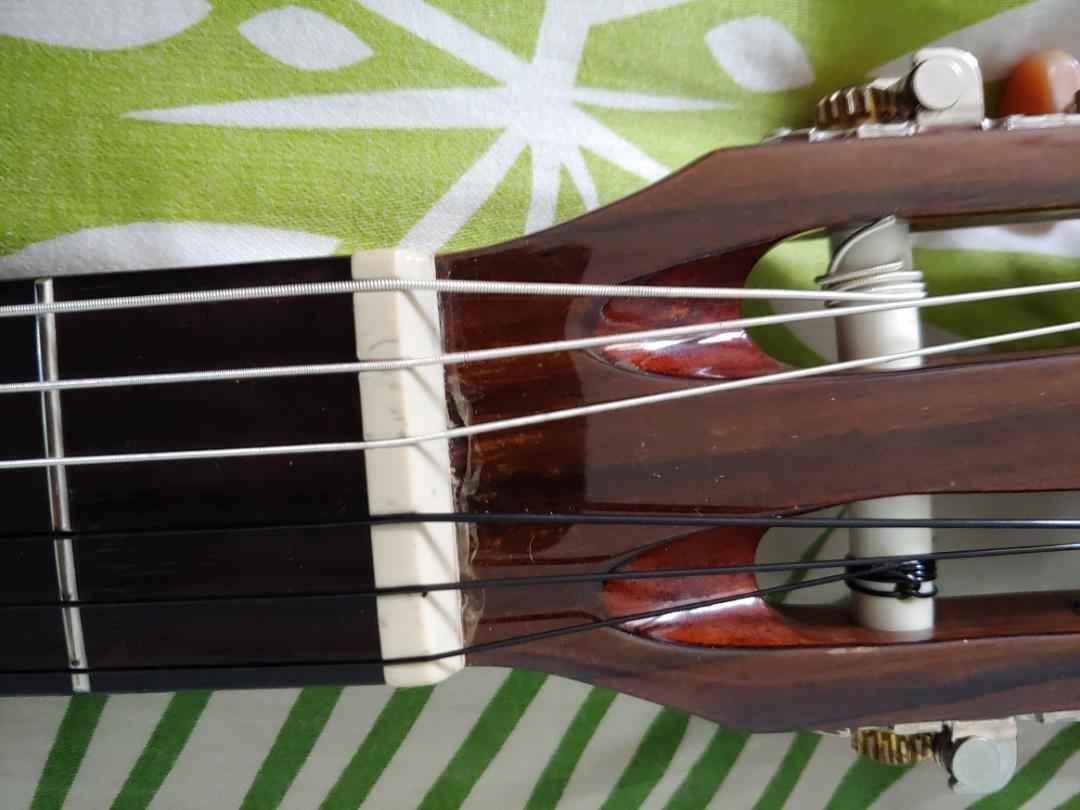 Cort CEC5 NAT Nylon String Guitar, Hobbies & Toys, Music & Media ...