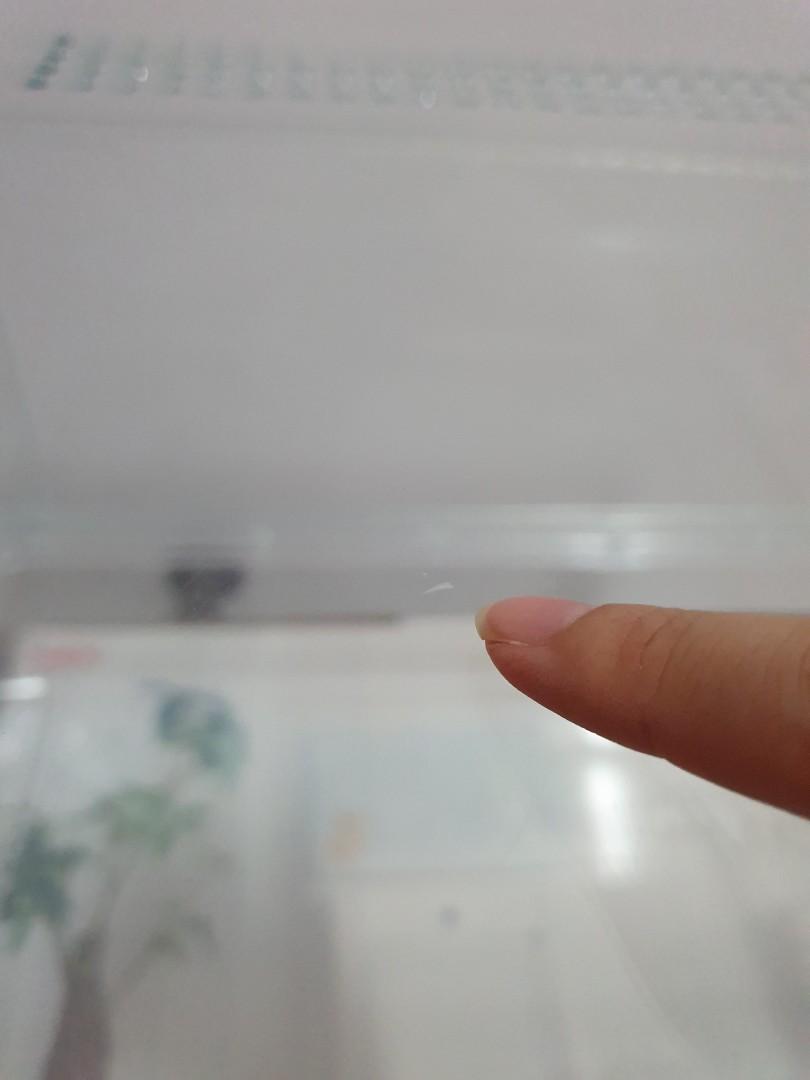 [GEX] Glass Harmony 450 transparent hamster cage, Pet Supplies, Homes & Other Pet Accessories on ...