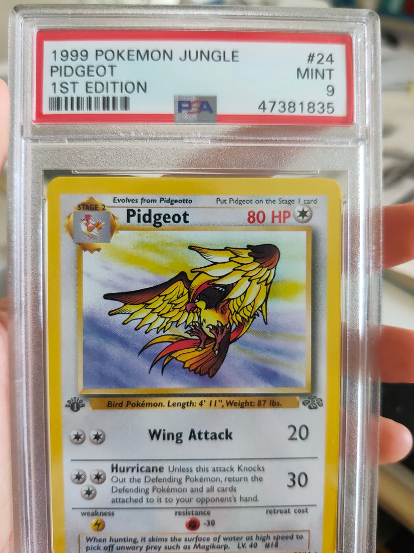 Jungle pidgeot psa 9 edition 1, Hobbies & Toys, Toys & Games on Carousell