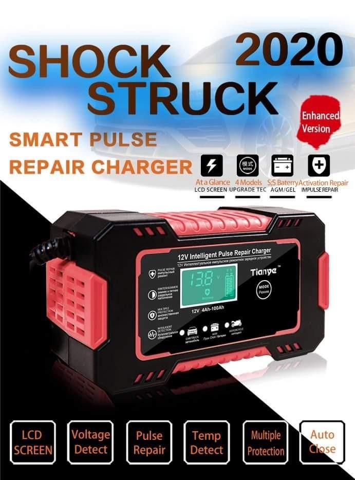 Tianye 12V Intelligent Pulse Repair Charger, Motorcycles, Motorcycle ...