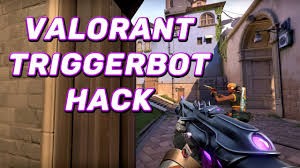 Valorant Colour Triggerbot Hack, Video Gaming, Video Game Consoles ...