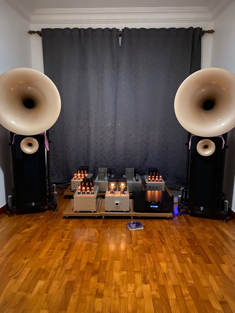 Avantgarde DUO Omega G2, Audio, Other Audio Equipment on Carousell
