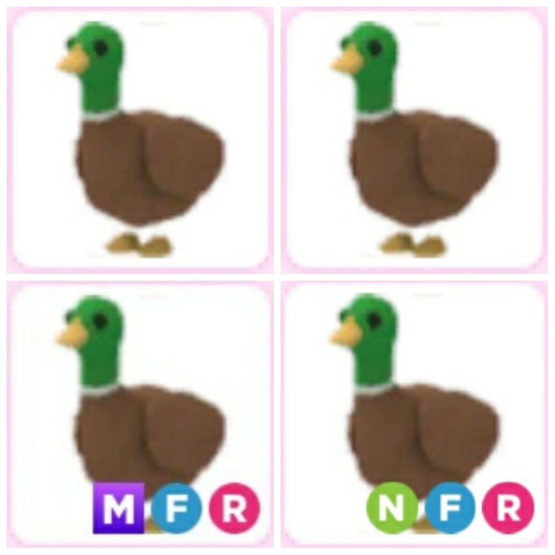 Drake Adopt me pet Roblox, Video Gaming, Gaming Accessories, Game Gift ...