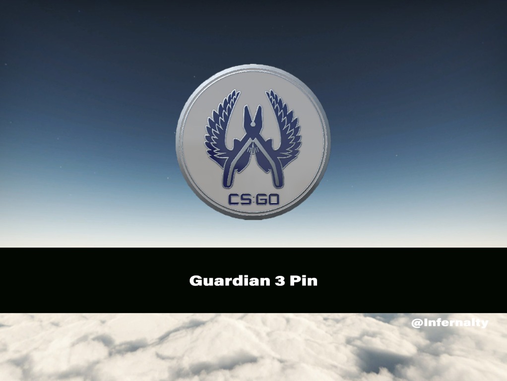 Guardian 3 Pin CSGO SKINS KNIVES, Video Gaming, Gaming Accessories ...