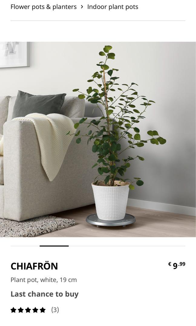 IKEA CHIAFRON PLANT POT 19cm, Furniture & Home Living, Gardening, Pots ...
