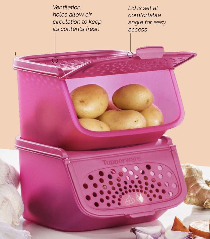 Tupperware Garlic Keeper 2.3L, Furniture & Home Living, Kitchenware ...