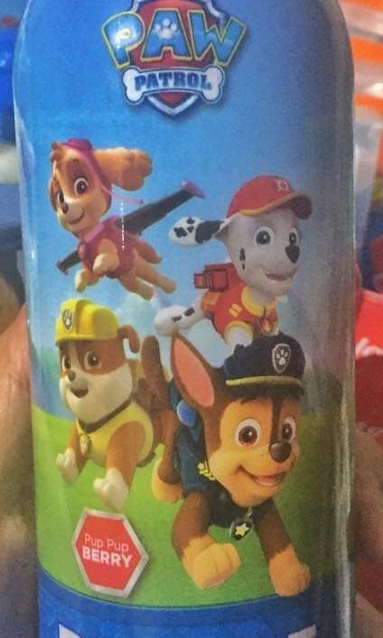 Paw Patrol Bubble Bath w/ Vit. E 473ml, Babies & Kids, Bathing ...
