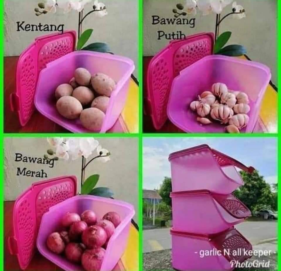 Tupperware garlic keeper, Furniture & Home Living, Kitchenware ...