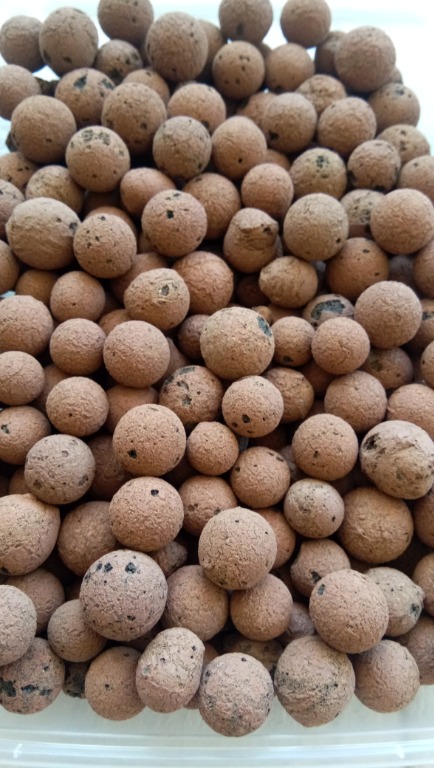 Hydroton 16-25mm 300kg LECA (Made in Germany), Furniture & Home Living ...