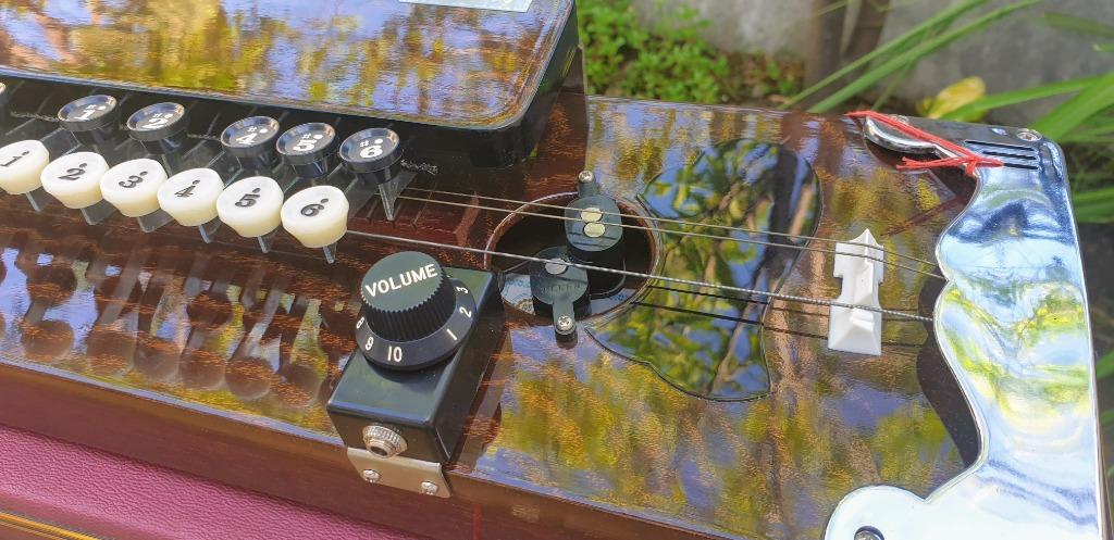 Taishogoto Japanese Stringed Instrument, Hobbies & Toys, Music & Media ...