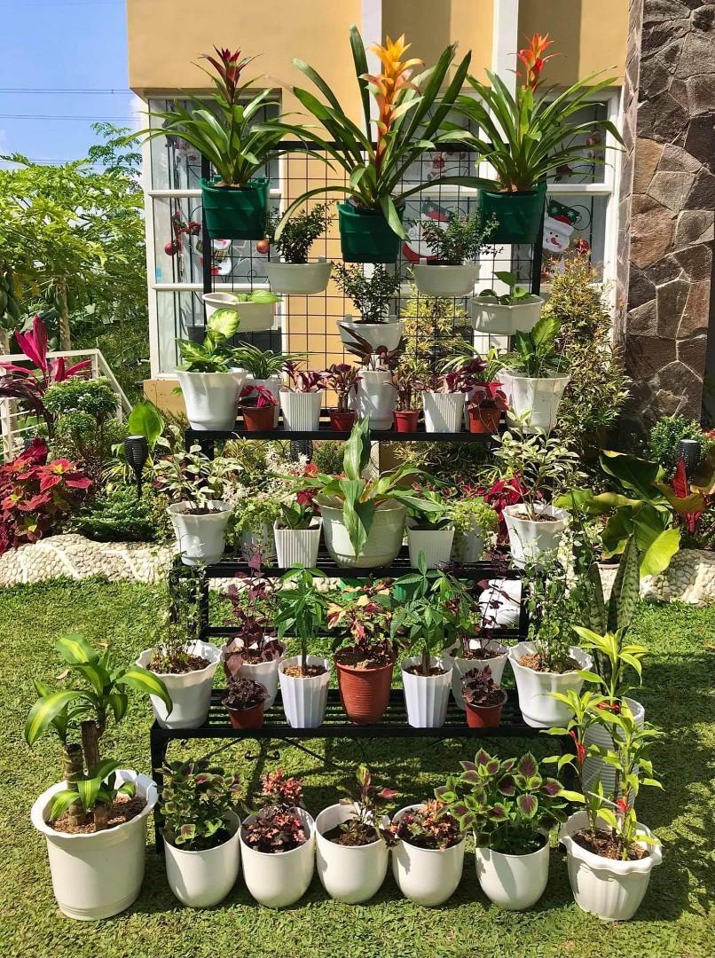 Metal Plant Rack with mesh grid, Furniture & Home Living, Gardening ...