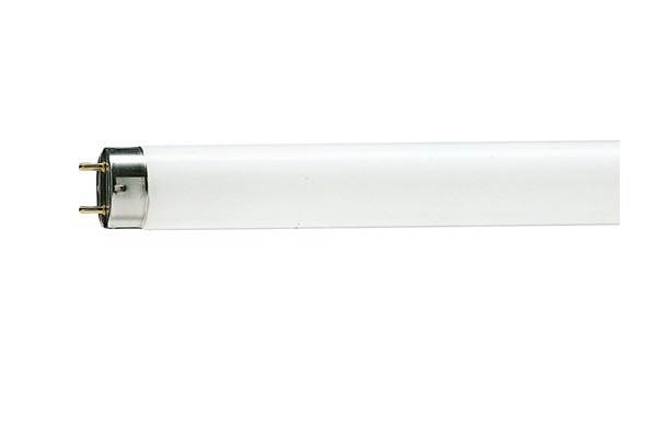 Philips TLD 30W/54-765 Daylight Tube - AHT827, Furniture & Home Living ...