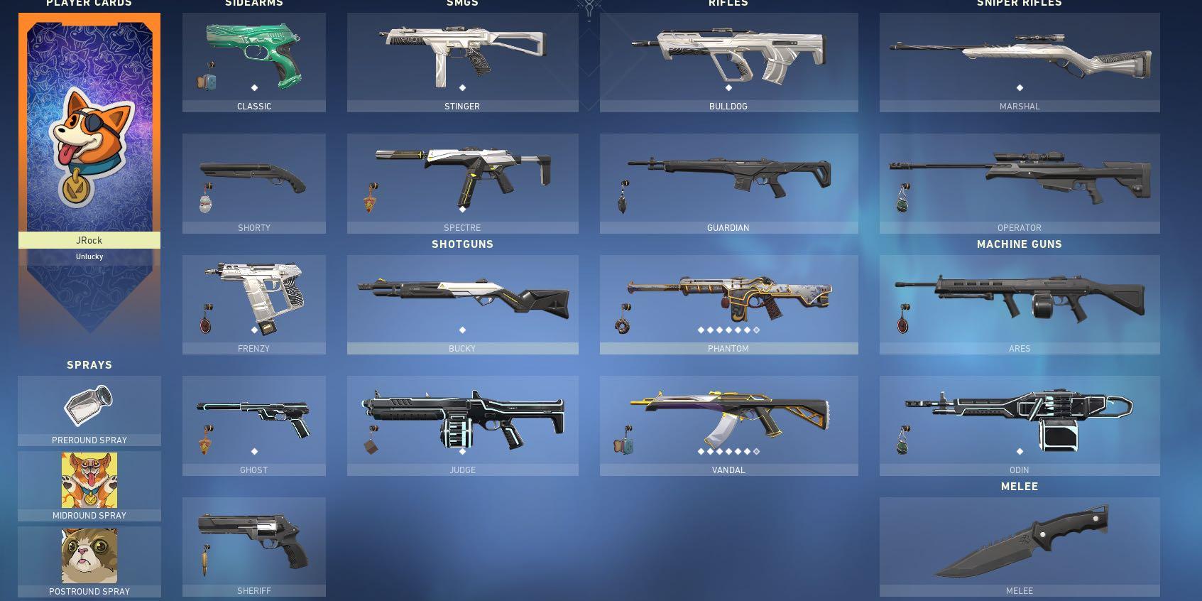 valorant Account with SKINS, Video Gaming, Gaming Accessories, Game ...