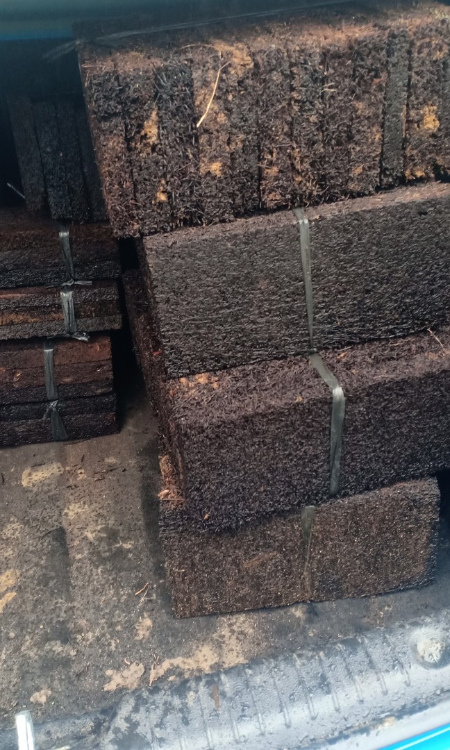 SLABS FOR HANGING PLANTS ORCHIDS, Furniture & Home Living, Gardening ...