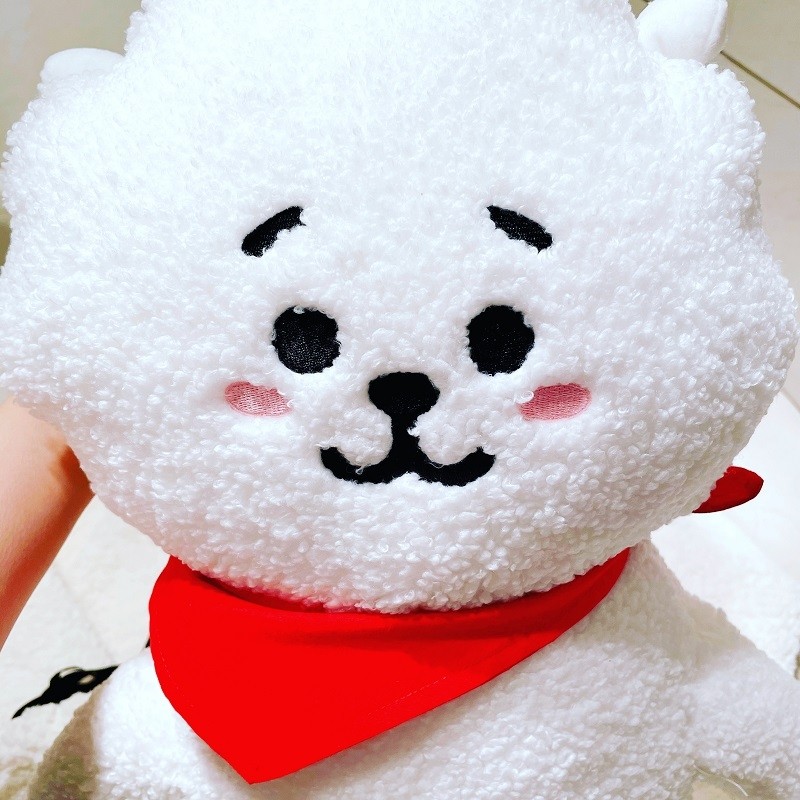 OFFICIAL BT21 RJ JUMBO DOLL ONHAND [FACTORY OVERRUNS -NO BOX], Hobbies ...