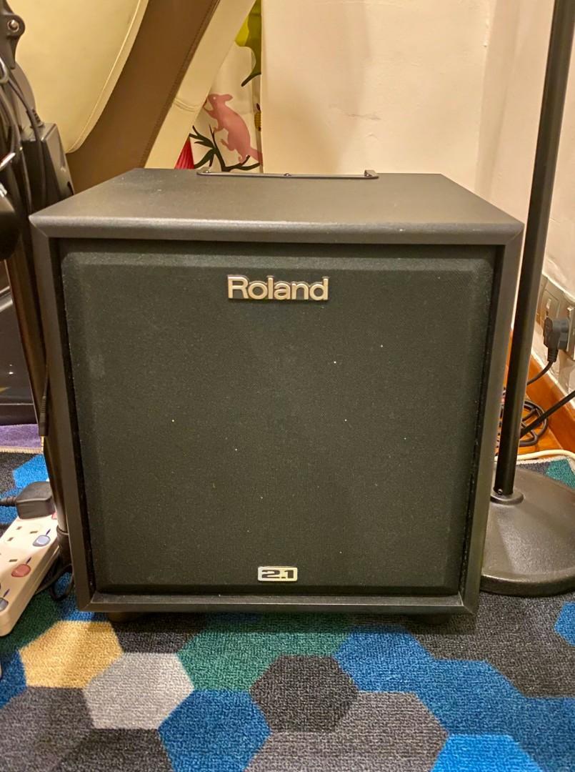 Roland cube CM-220 2.1 multi-purpose studio monitors *faulty*, Audio ...