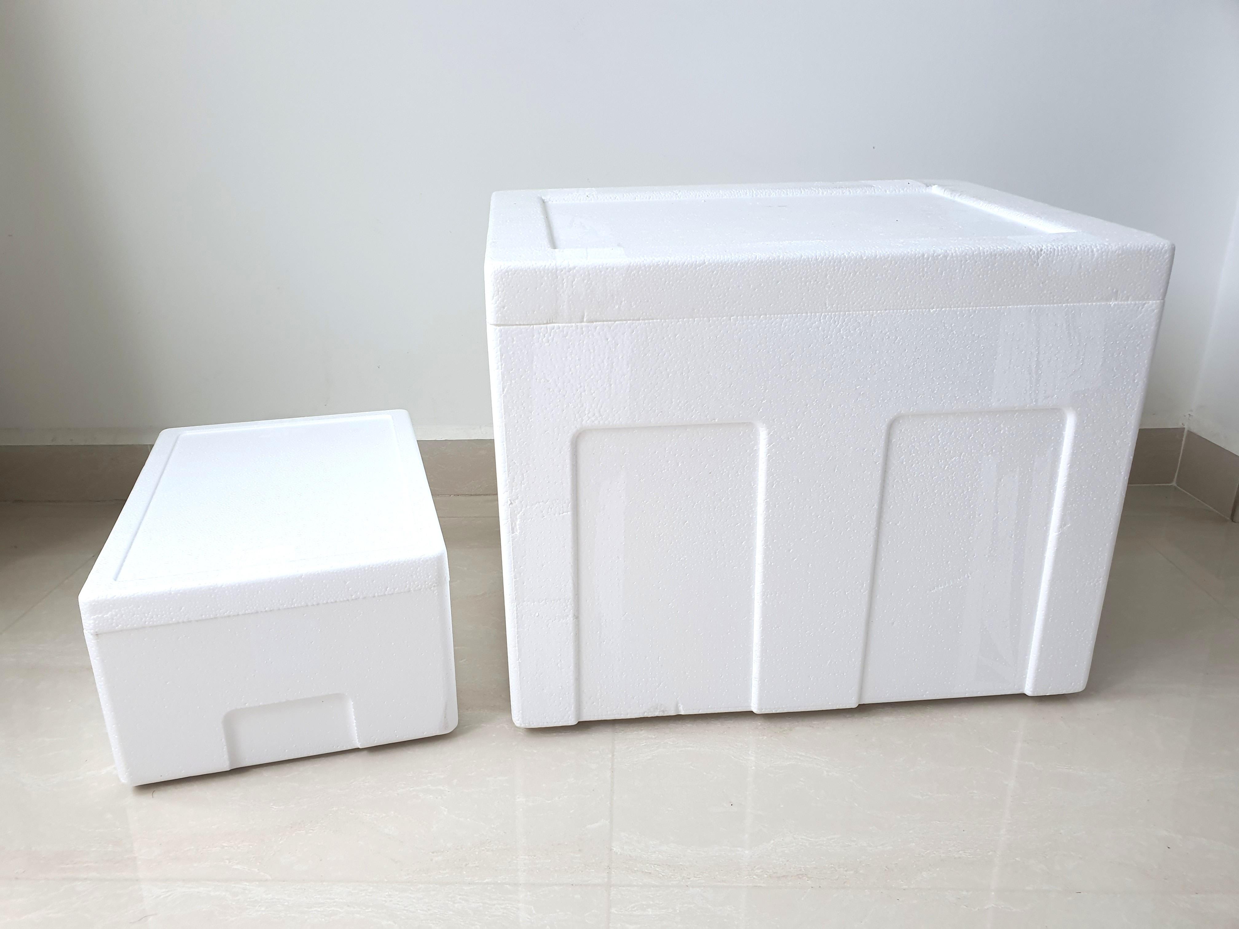 Styrofoam ice cooler box, Furniture & Home Living, Home Improvement ...