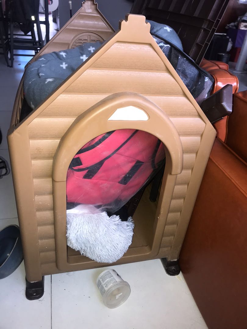 Dog Kernel, Pet Supplies, Homes & Other Pet Accessories on Carousell