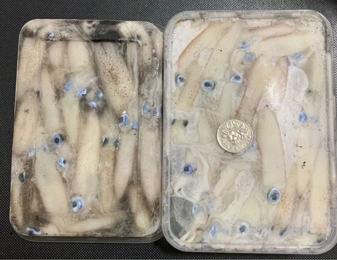 Kelong sotong 500g/box (bait), Everything Else on Carousell