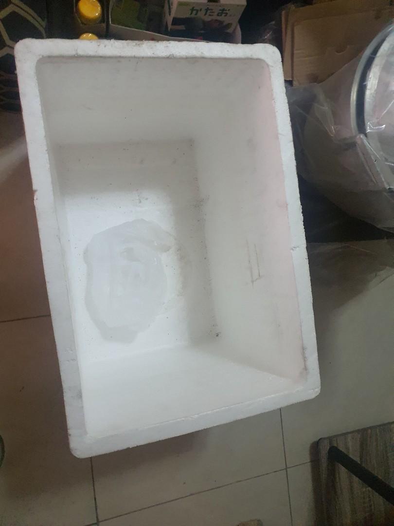 Styro box para sa pagkain very big size, Everything Else, Others on ...