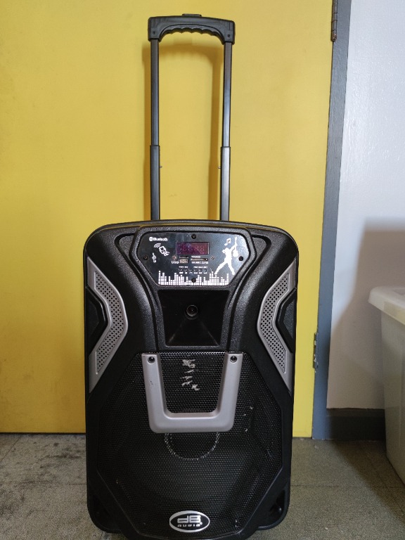 DB Audio Skywalker 12MCx2 SPEAKER, Audio, Soundbars, Speakers ...