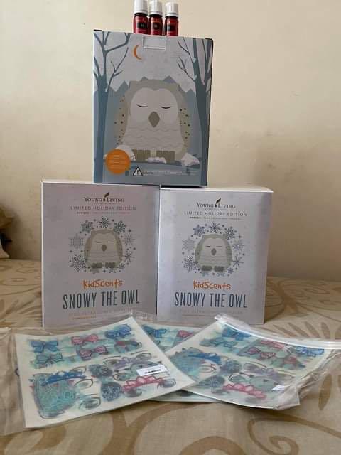 Snowy the Owl Diffuser, TV & Home Appliances, Air Purifiers ...