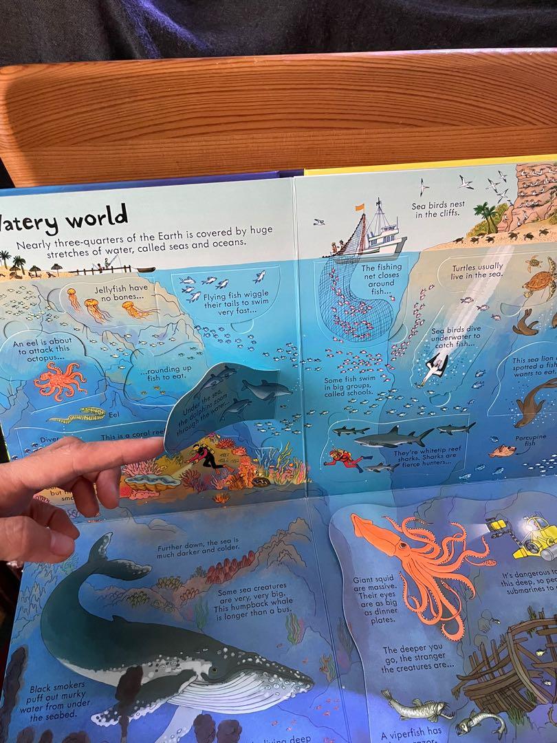 Usborne Look Inside Our World, Hobbies & Toys, Books & Magazines ...