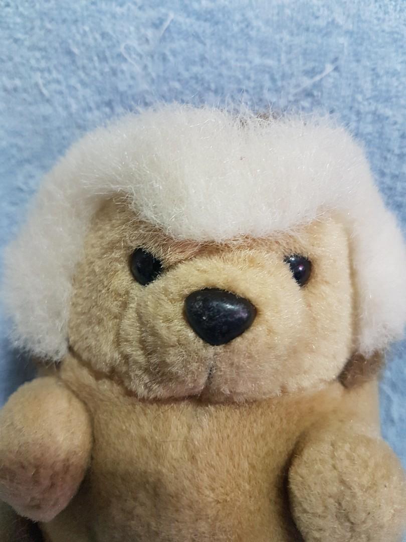 Authentic Official Chicco Mascot Hedgehog Plush Soft Toy, Hobbies ...