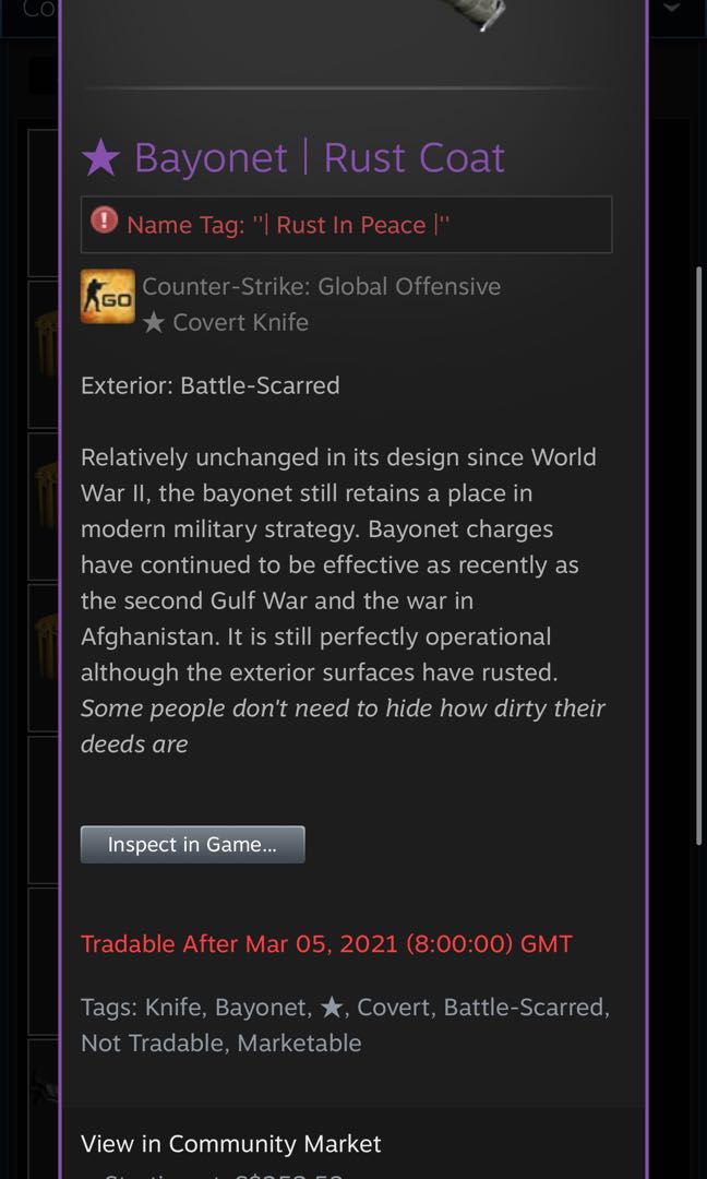 Bayonet rust coat BS (csgo skin), Video Gaming, Gaming Accessories ...