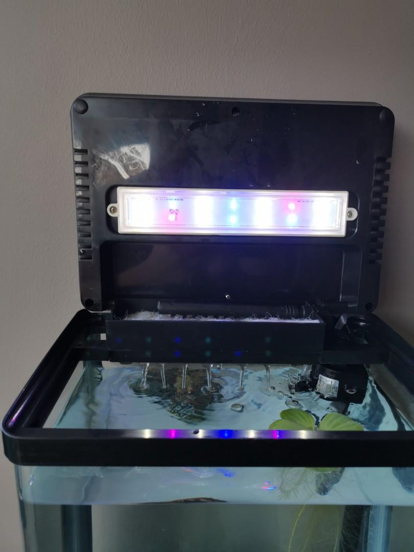 Fish tank curve 3 in 1, Pet Supplies, Homes & Other Pet Accessories on ...