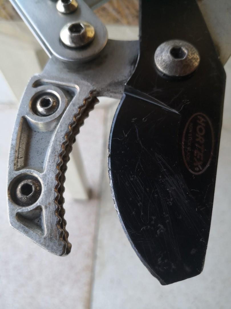 Hortex Garden Lopper, Furniture Home Living, Gardening, Gardening Tools ...