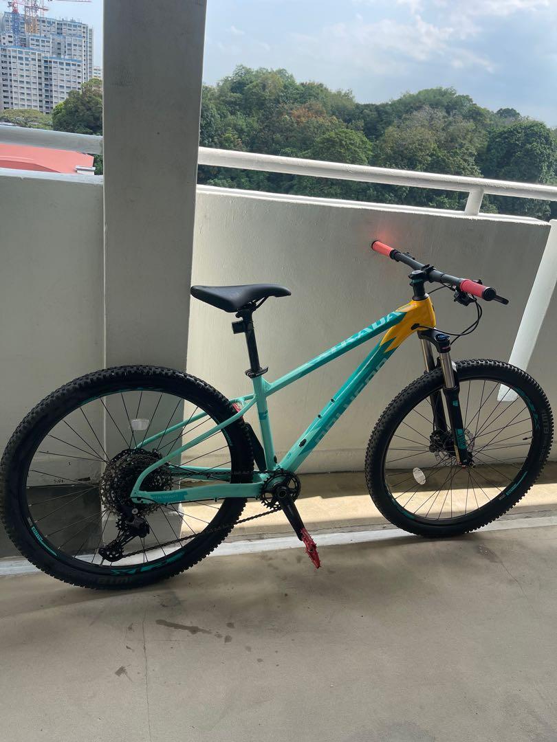 Polygon Xtrada 7 2021 (NEGOTIABLE), Bicycles & PMDs, Bicycles, Mountain ...