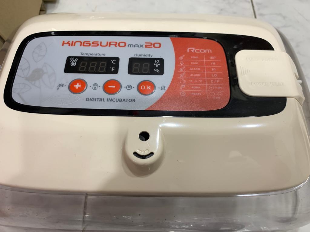 Rcom King Suro Max-20 Eggs Incubator, Pet Supplies, Homes & Other Pet ...