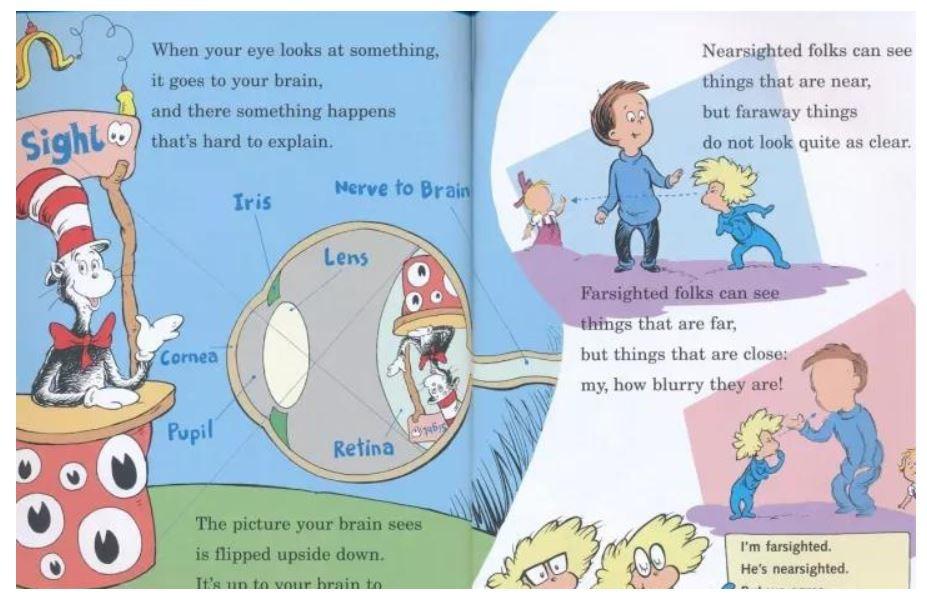 The Cat in The Hat's Dr Seuss Learning Library Set, Hobbies & Toys ...