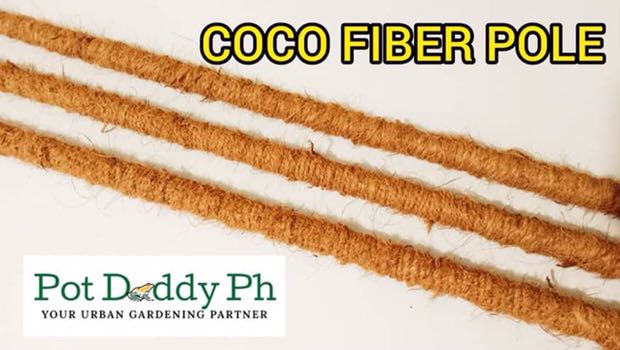 Coco Fiber Pole by Pot Daddy Ph | 3 feet, Furniture & Home Living ...