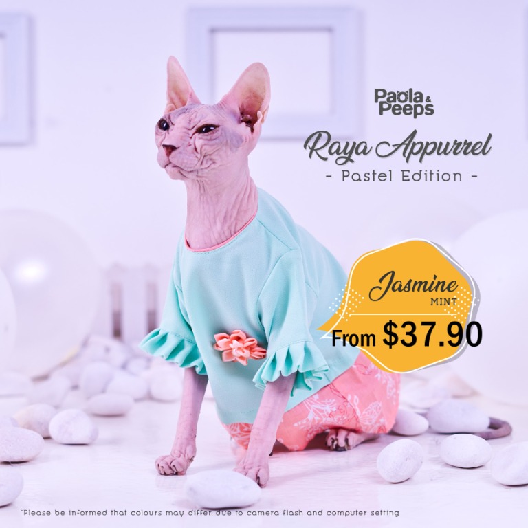 Hari Raya Outfit For Cats Pastel Edition (Female), Pet Supplies, Homes ...