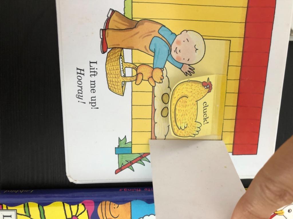 Book bundle with interactive & lift flap books, Hobbies & Toys, Books ...