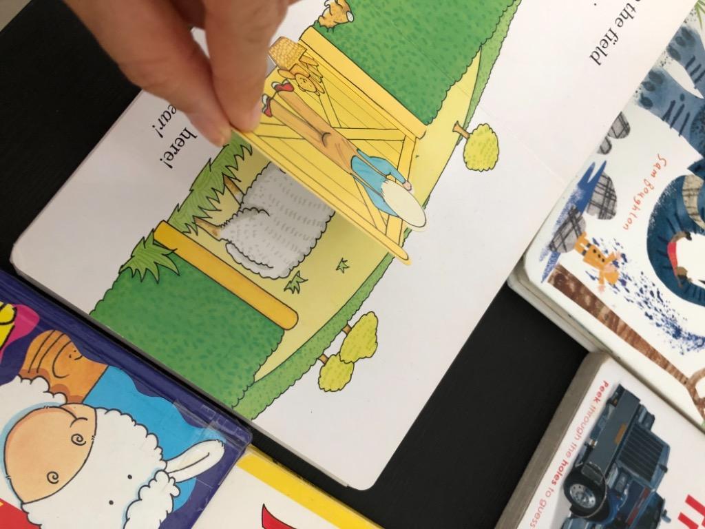 Book bundle with interactive & lift flap books, Hobbies & Toys, Books ...