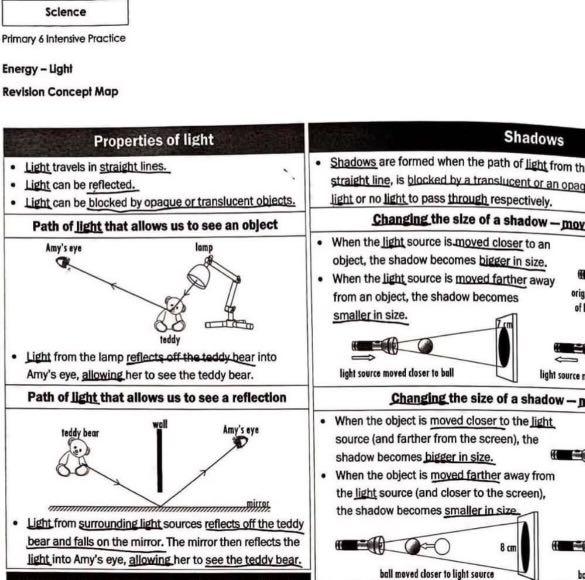 PSLE | P6 P5 P4 P3 | Science | Science Concept Map Revision | nt exam ...
