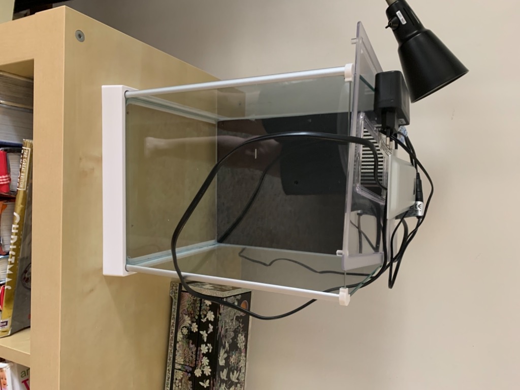 Fluval 10 litre, Pet Supplies, Homes & Other Pet Accessories on Carousell